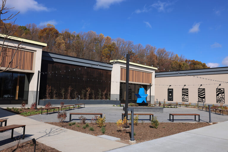 Blue Star Shopping Center (Redevelopment) - Levin Management