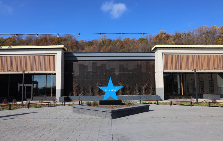 Blue Star Shopping Center (Redevelopment) - Levin Management