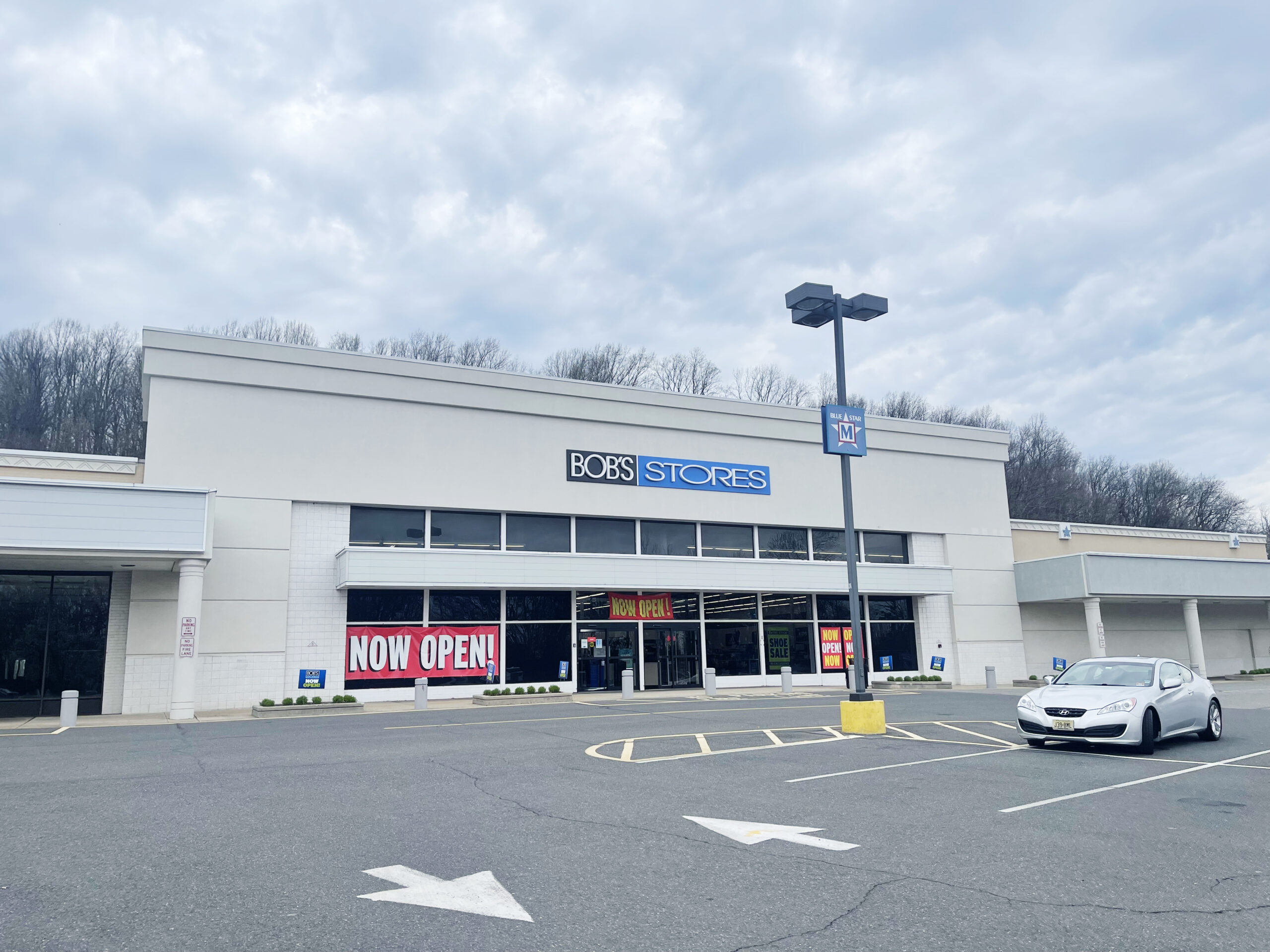 Blue Star Shopping Center - Levin Management