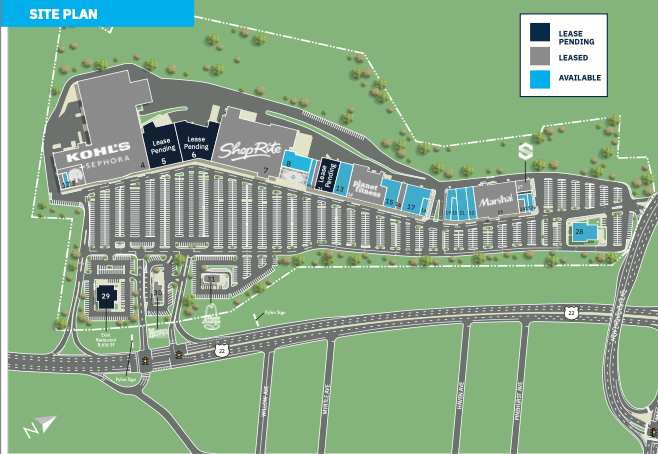 Blue Star Shopping Center (Redevelopment) - Levin Management